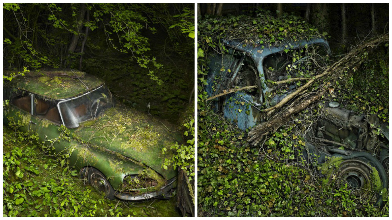 stará auta fotografie příroda – G.cz