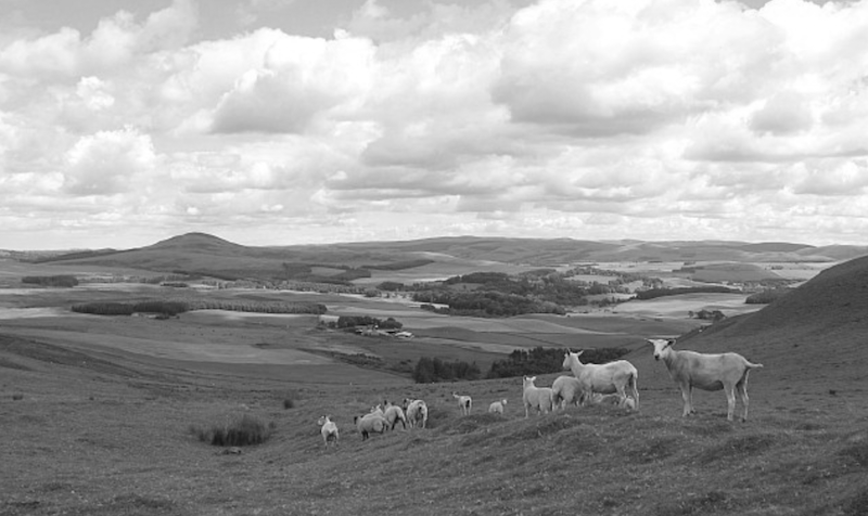 Peter Manuel – G.cz