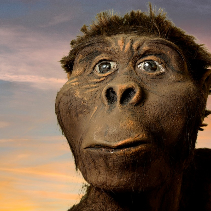 7 zajímavostí o tři miliony let staré Lucy, která dnes slaví své 44 ...