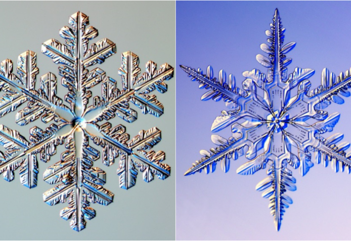 23 fotek sněhových vloček, jaké jste ještě nikdy neviděli – G.cz